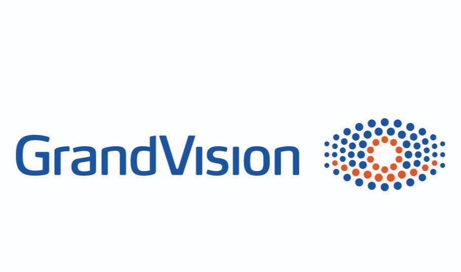 GrandVision sales in reopened stores drop by 13% early June | Article ...